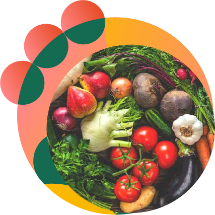 World Food Forum | Good food for all, for today and tomorrow.